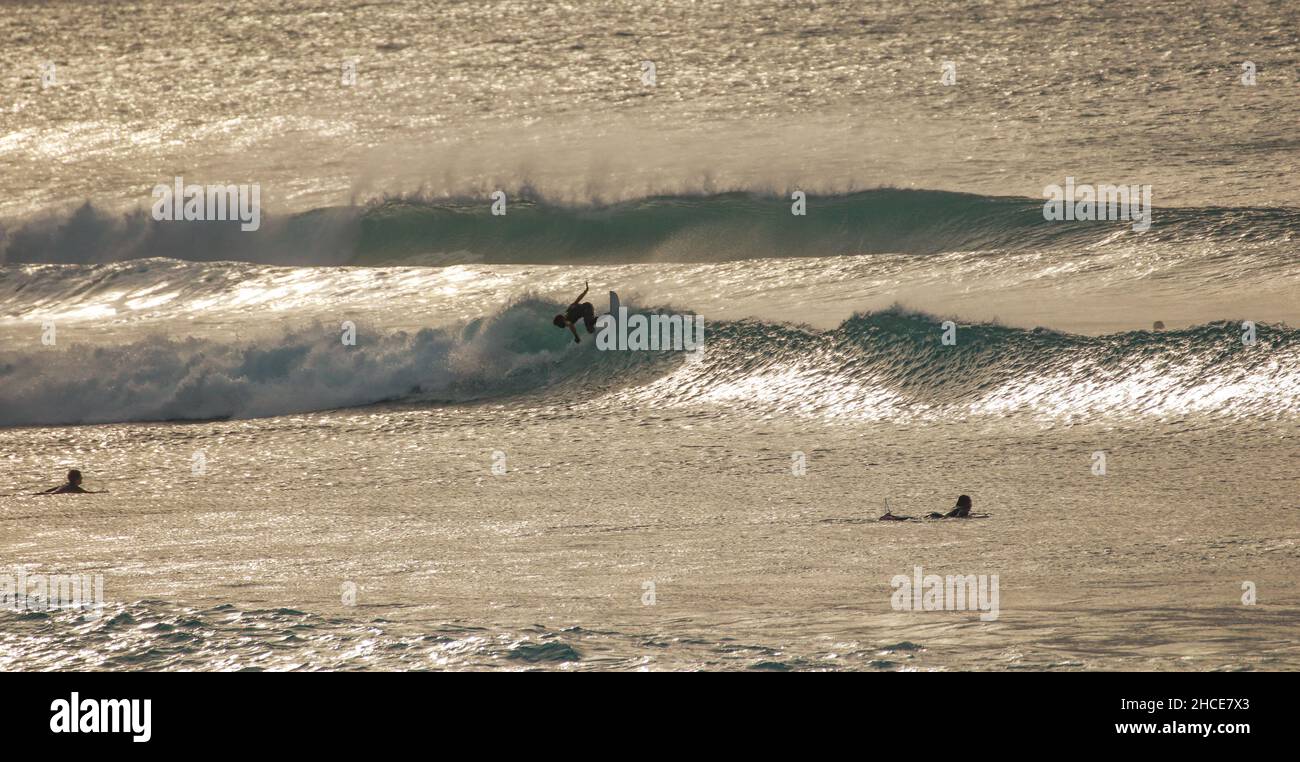 Surfer on a perfect wave at sunny day Stock Photo - Alamy