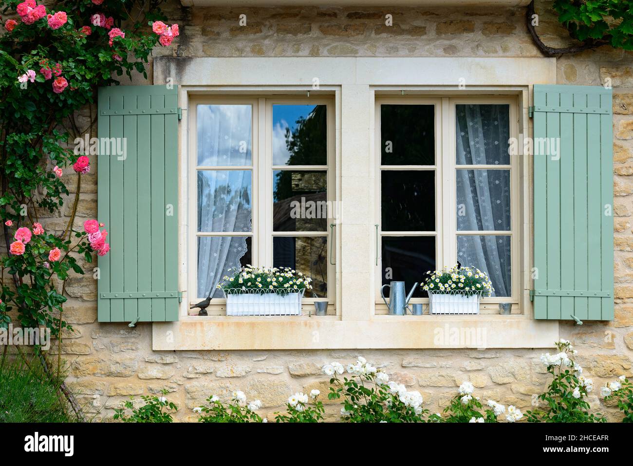 window in a stone wall with green shutters, curtains and white flower ...