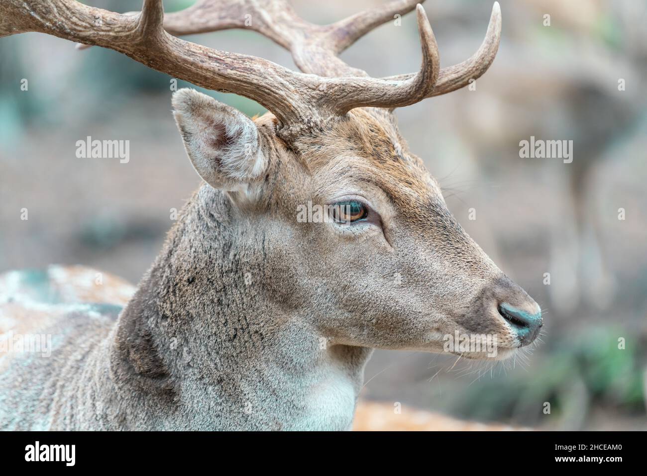 Hartshornes hi-res stock photography and images - Alamy