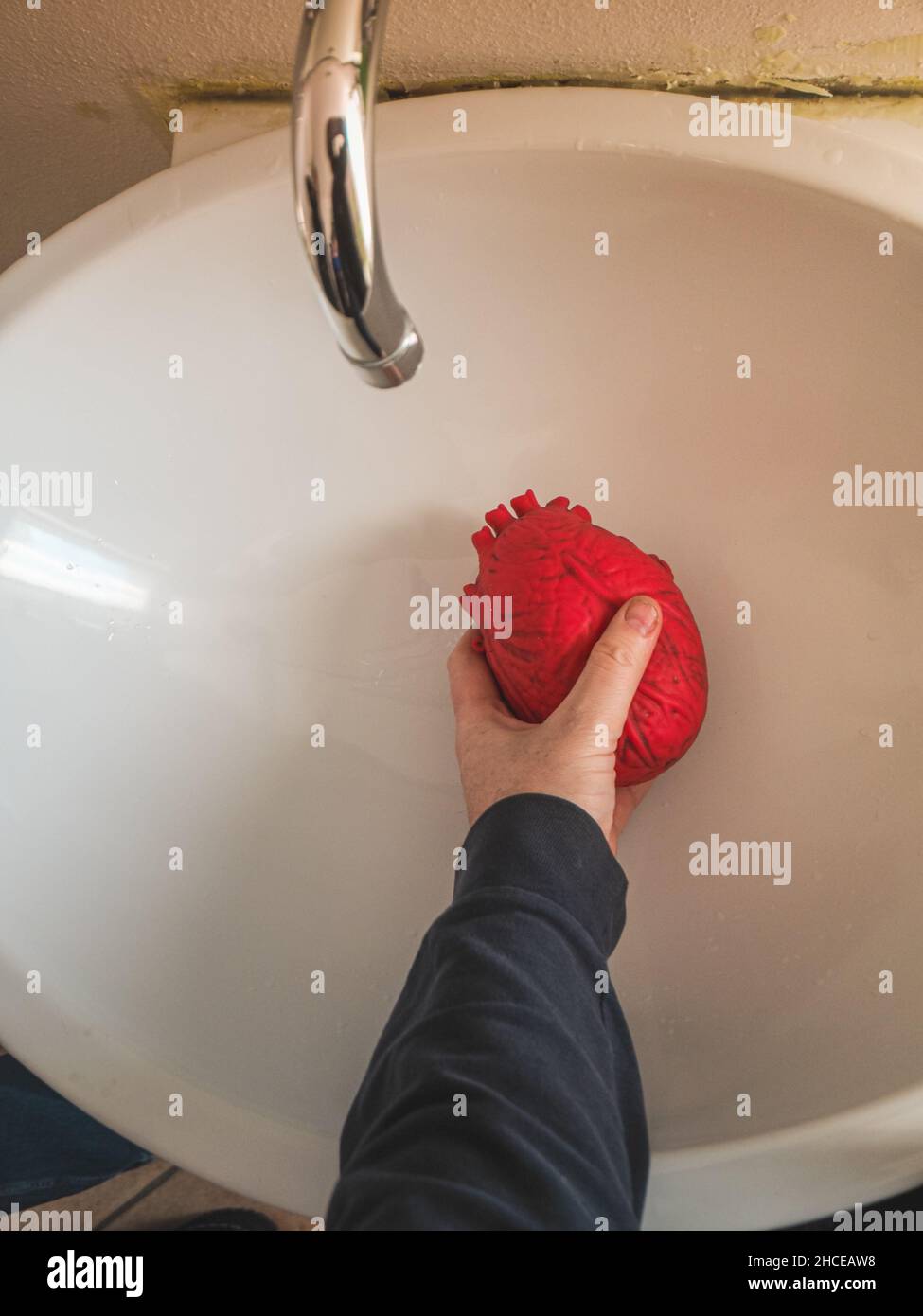 Vertical shot of a hand holding an object looking like a human heart in ...