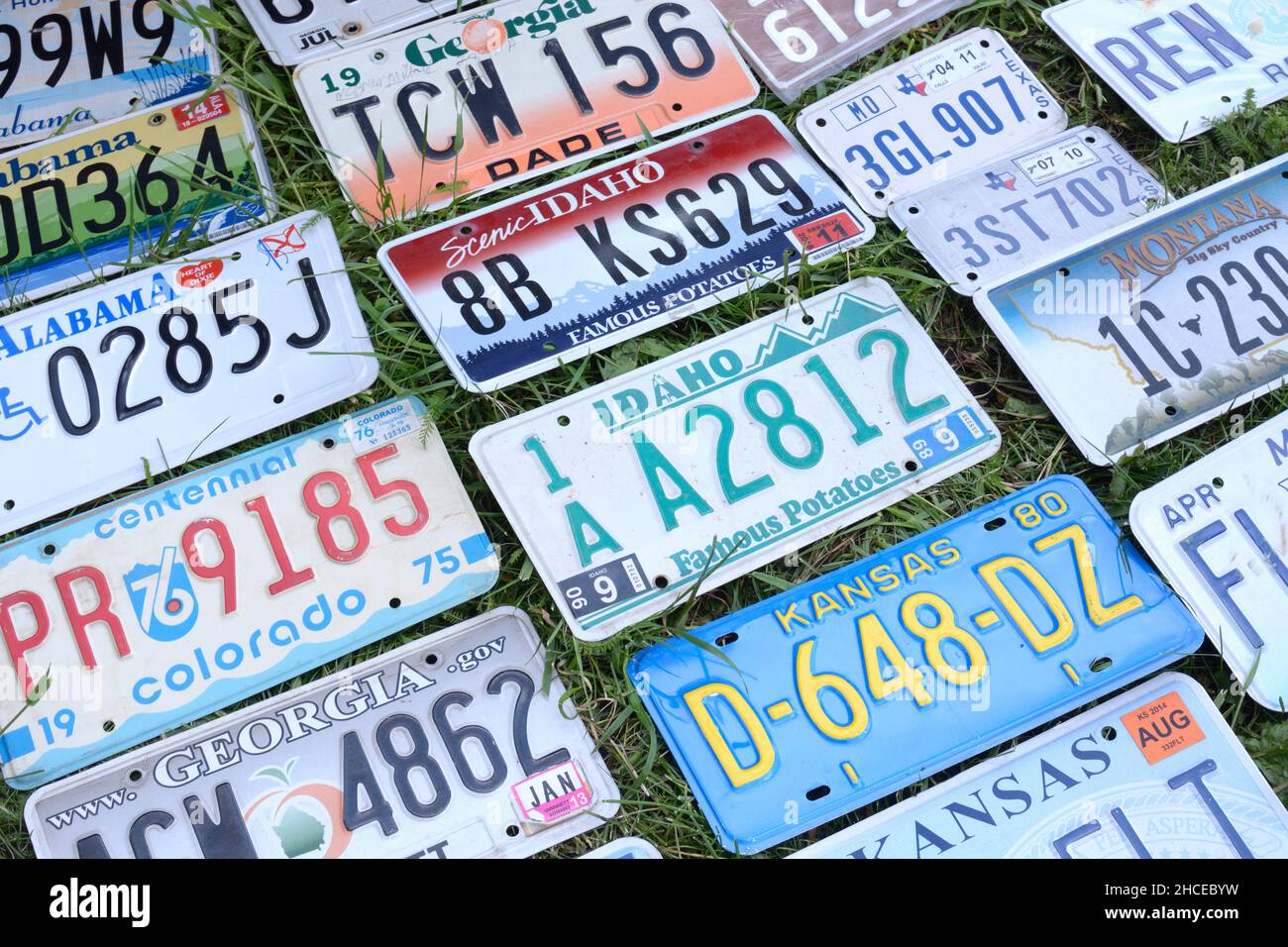 USA old vehicles license plates placed on the grass Stock Photo - Alamy