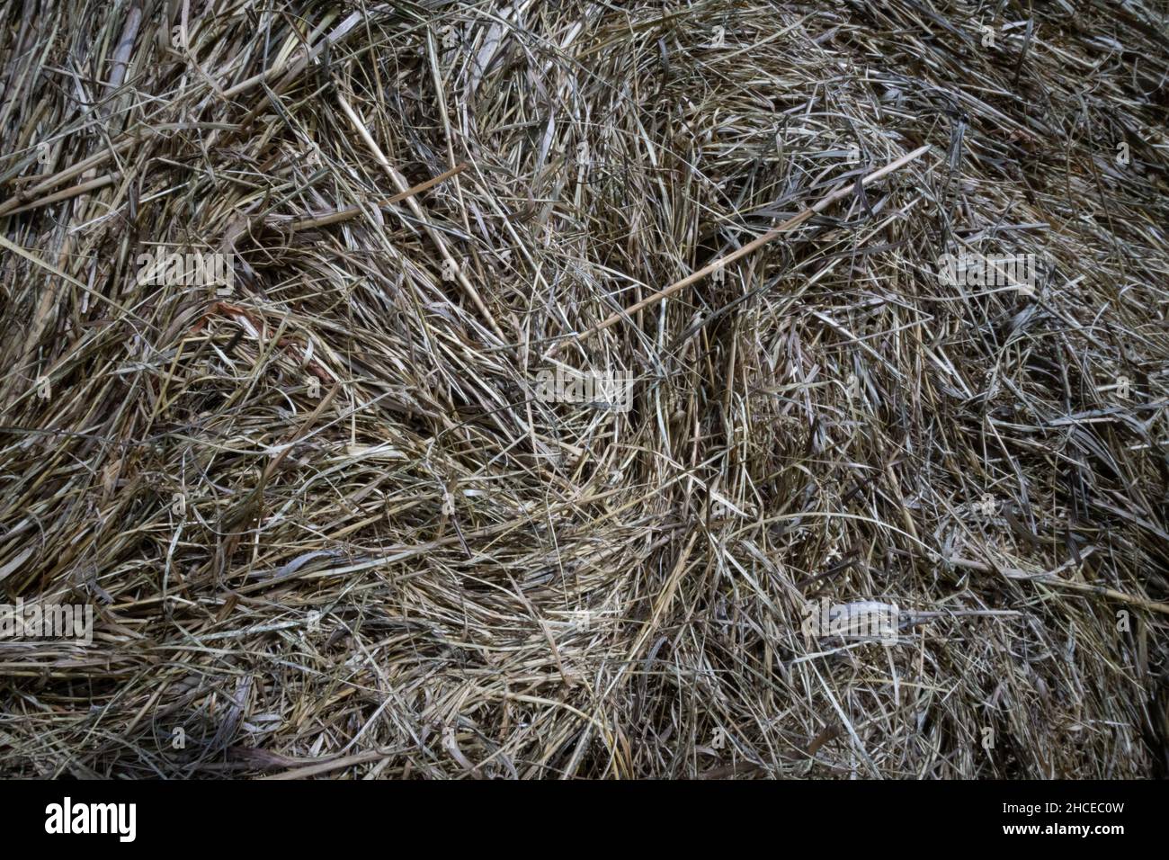 Closeup of hay bale hi-res stock photography and images - Alamy
