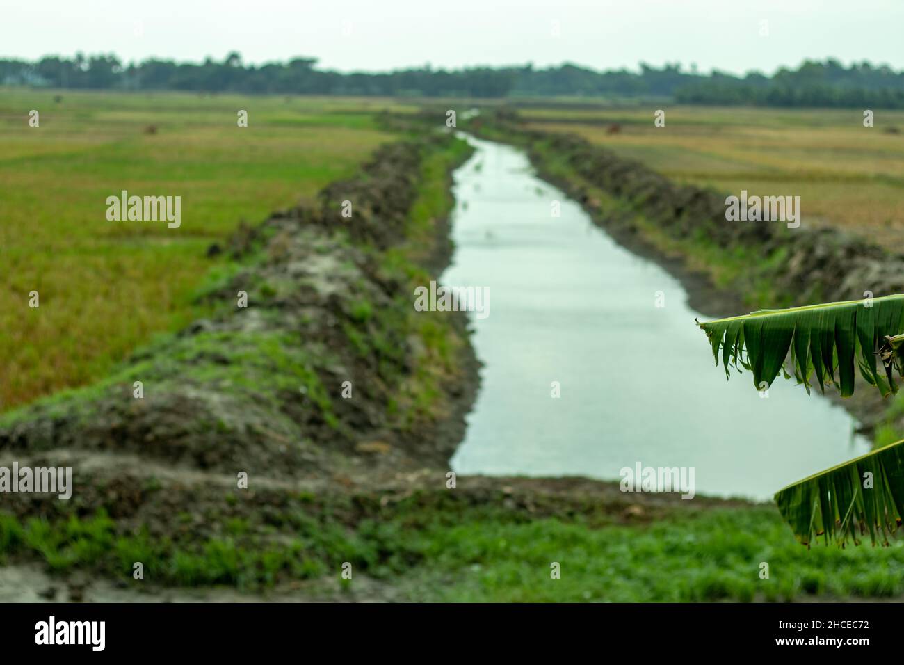 In to the village small water line in a big crop field that created ...