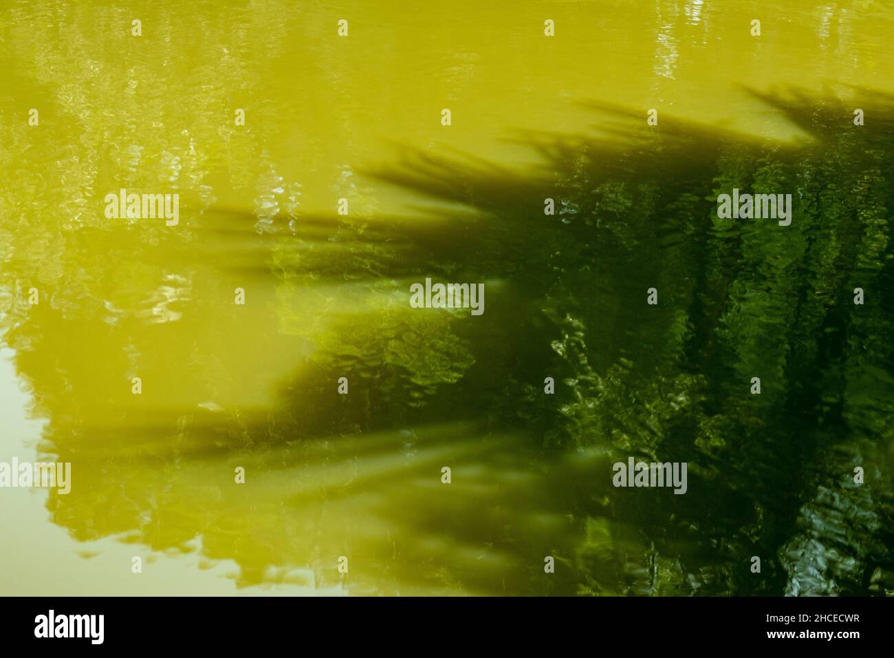 Mirror like image hi-res stock photography and images - Alamy