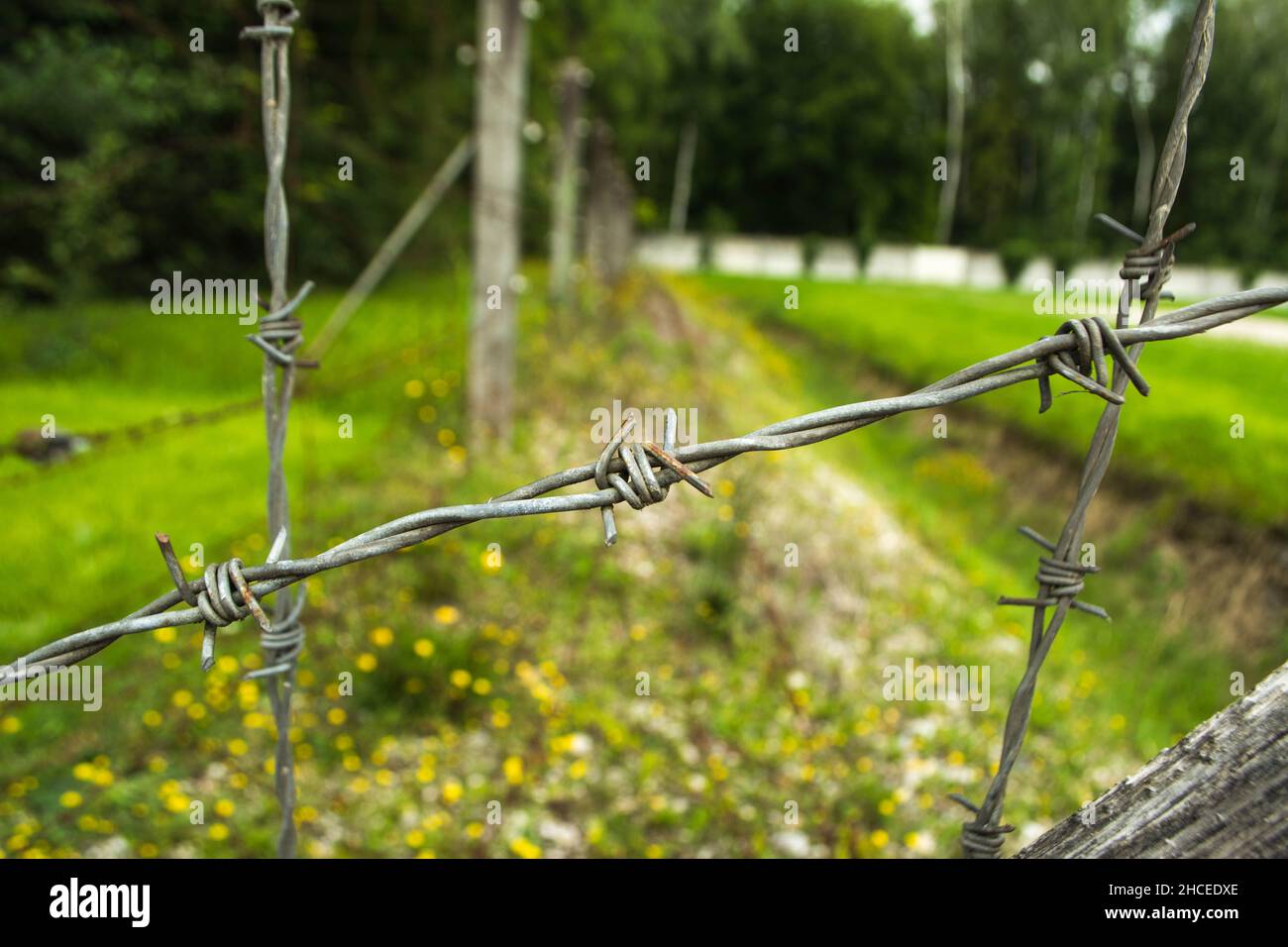 Barbed wire fence in Nazi concentration camp, Dachau, Germany Stock ...
