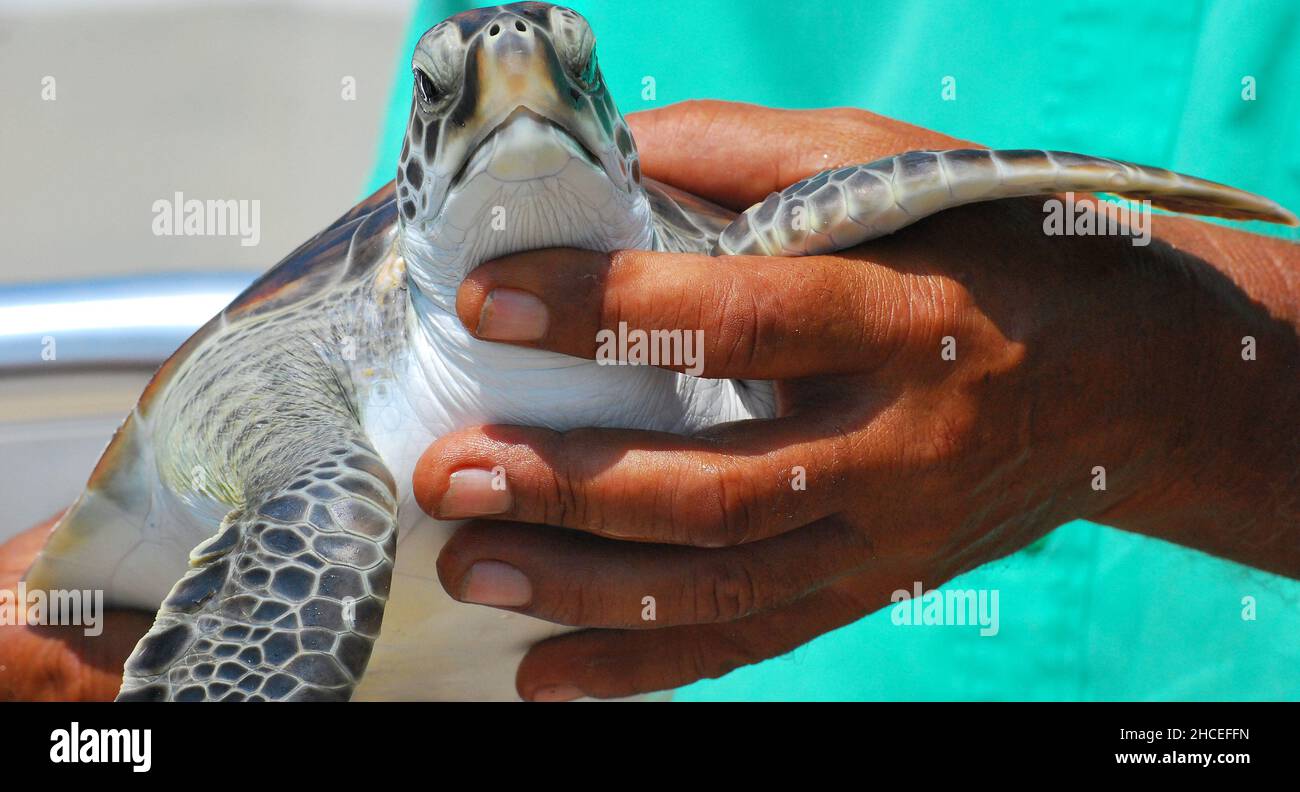 Long lived man hi-res stock photography and images - Alamy