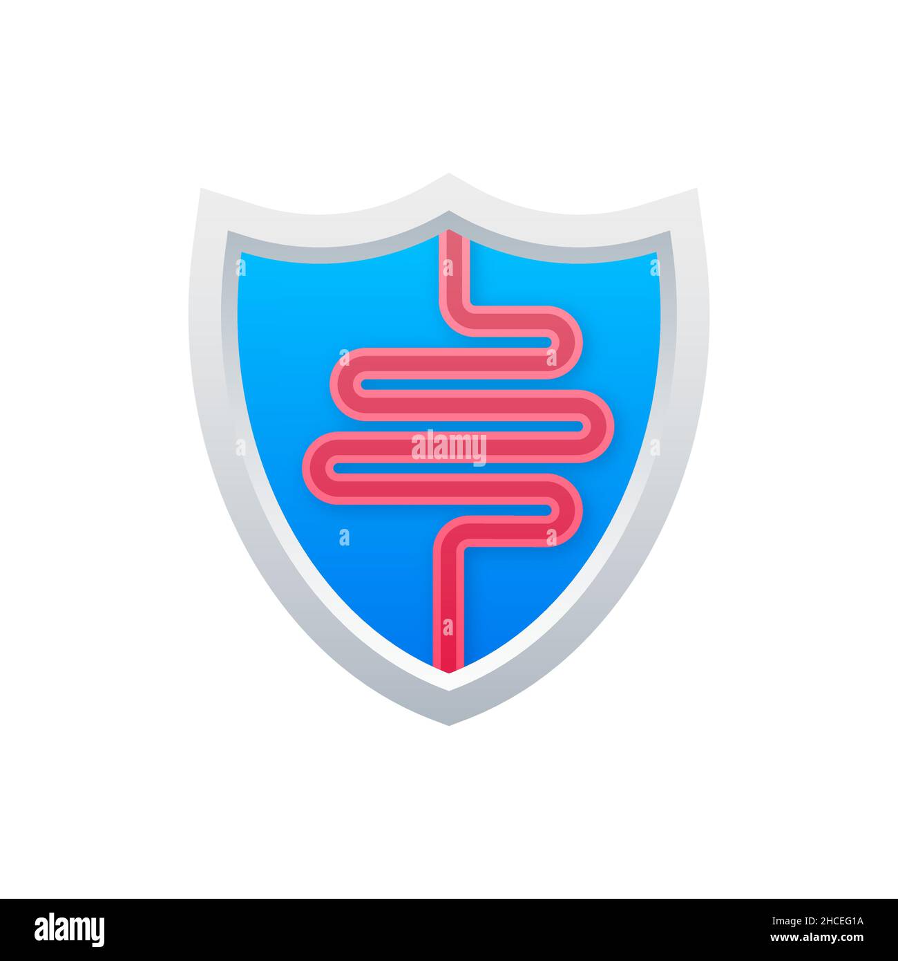 Stomach protection, Healthy protected intestine. Digestive system ...