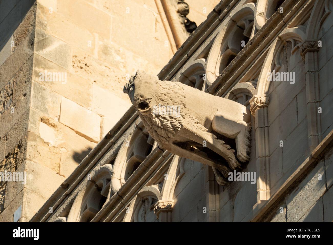 Monkey animal gargoyle on Palma Cathedral, Majorca Stock Photo - Alamy