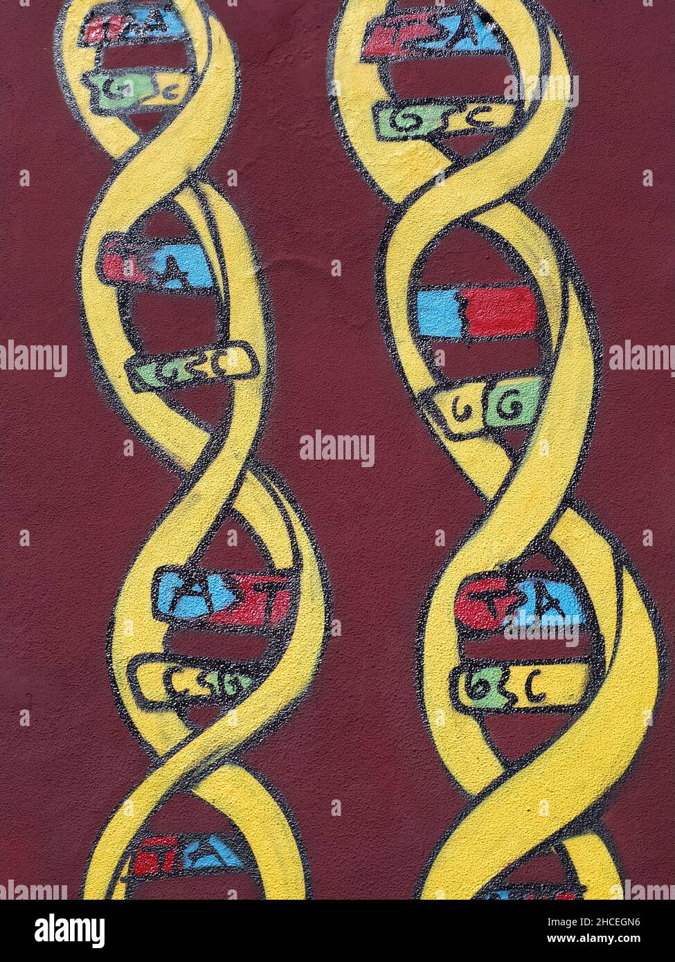 Dna strand microscope hi-res stock photography and images - Alamy