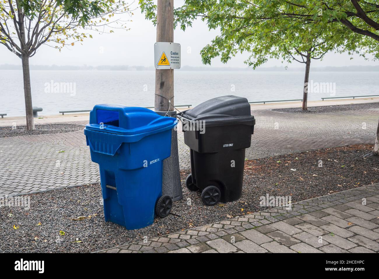 Blue recycling bin and a black litter bin along a waterfront path on a ...