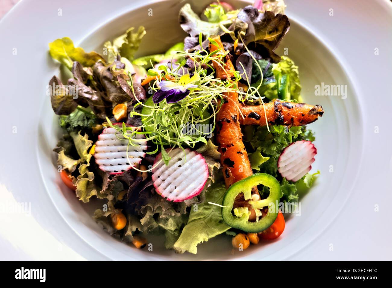 Gourmet salad at a fine dining restaurant, La Fortuna, Costa Rica Stock ...