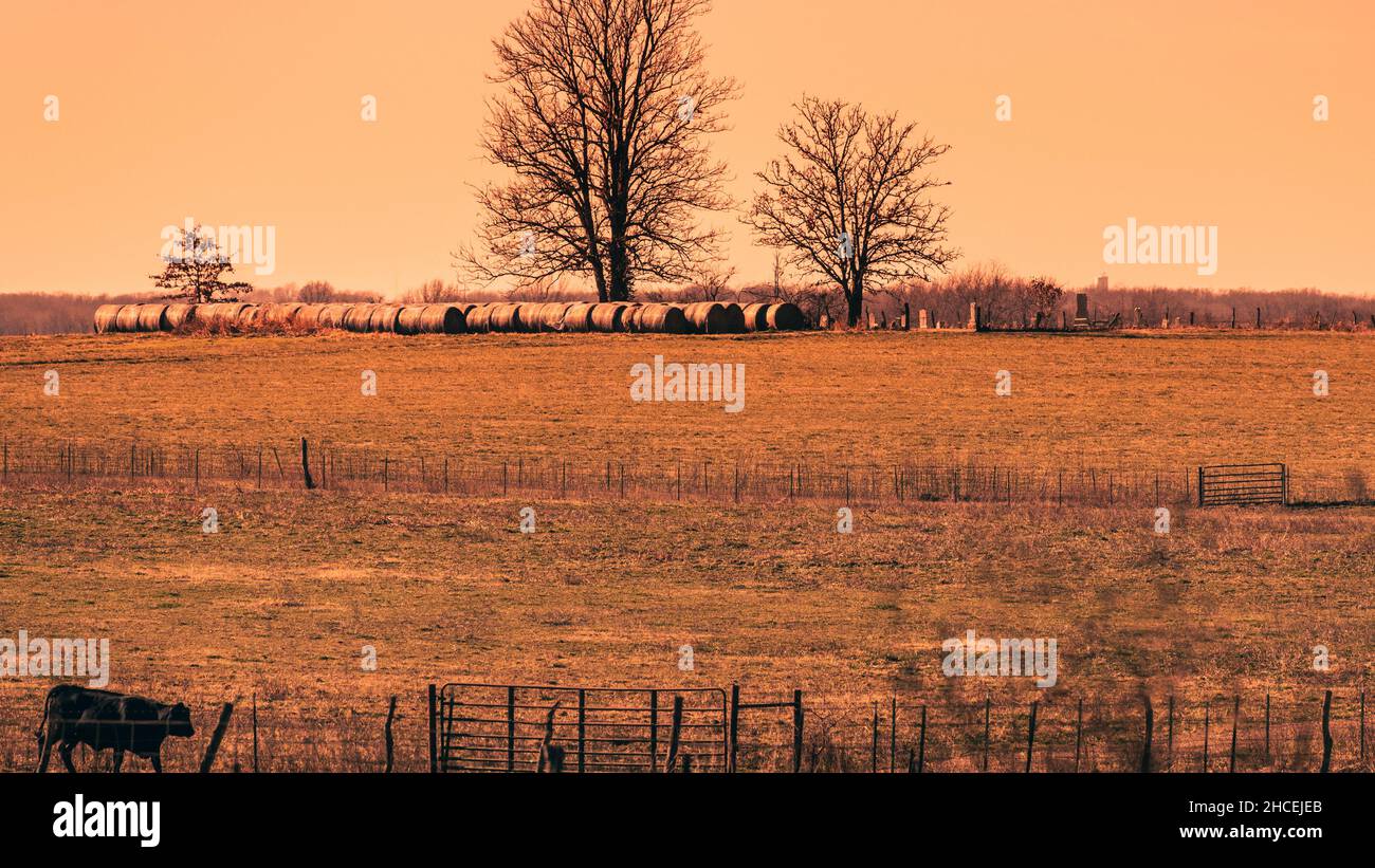 Warm afternoon in December on the farm Stock Photo - Alamy