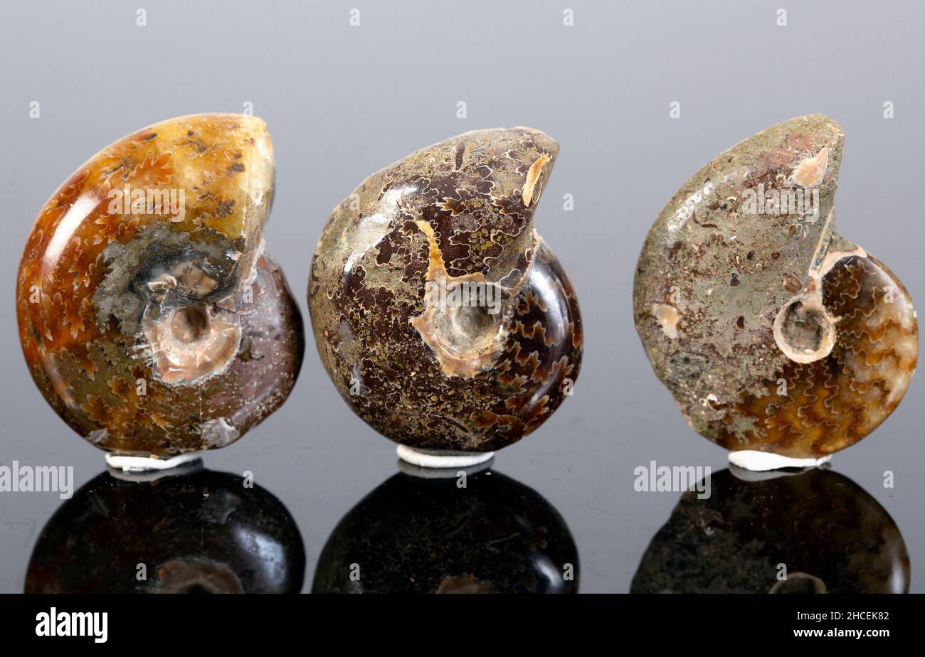 mineral specimen stone rock geology gem crystal Stock Photo - Alamy