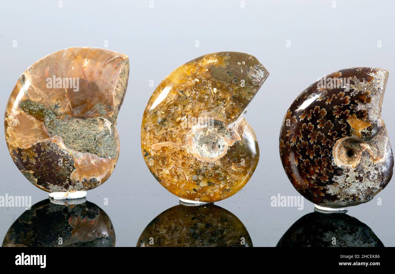 mineral specimen stone rock geology gem crystal Stock Photo - Alamy