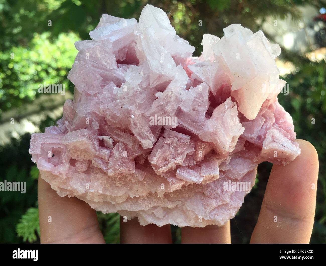 halite mineral specimen stone rock geology gem crystal Stock Photo - Alamy