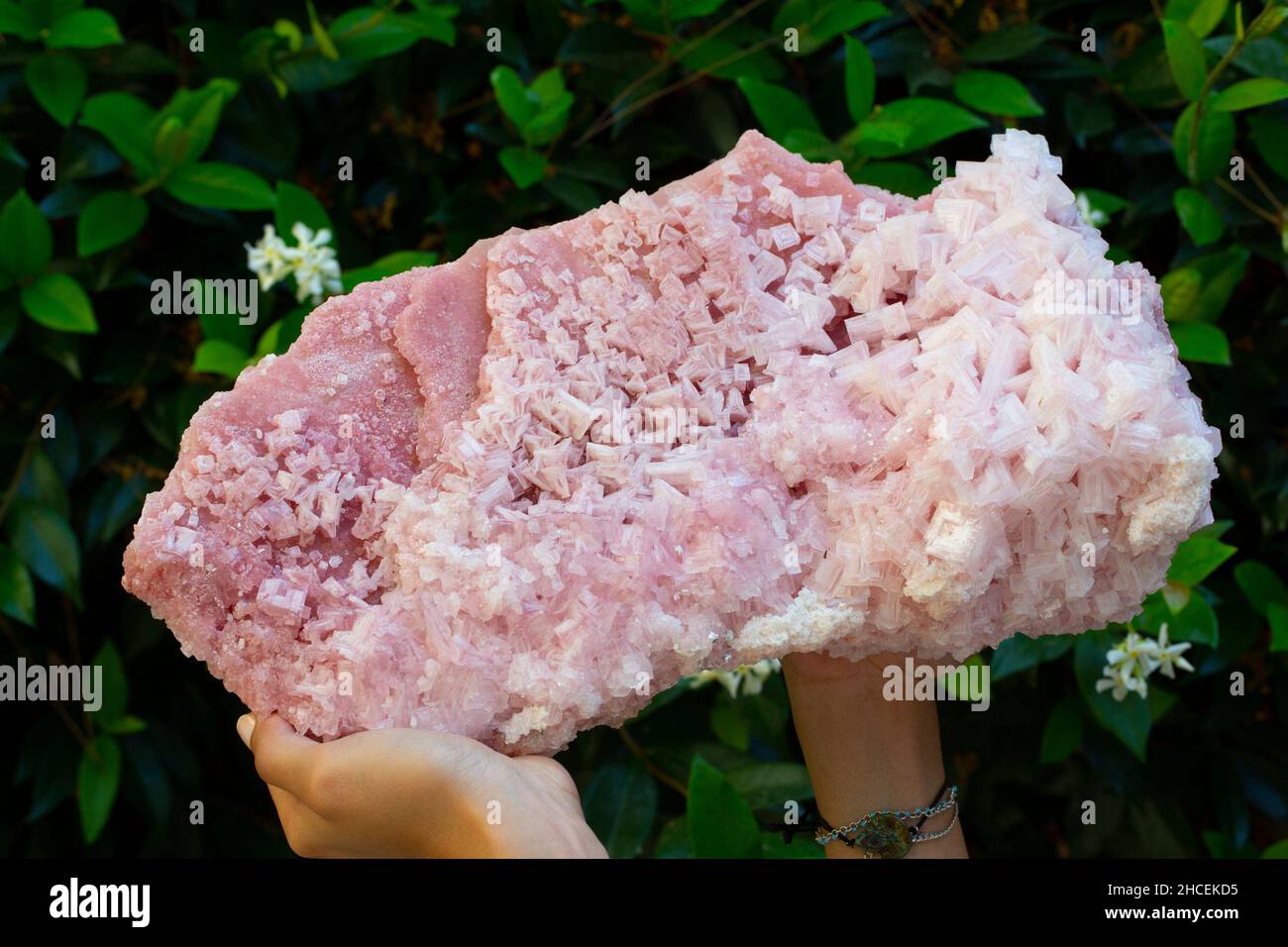 halite mineral specimen stone rock geology gem crystal Stock Photo - Alamy