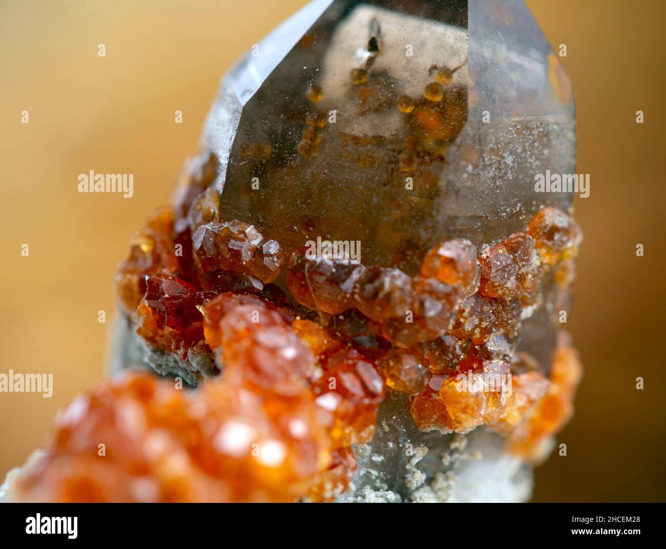 garnet mineral specimen stone rock geology gem crystal Stock Photo - Alamy