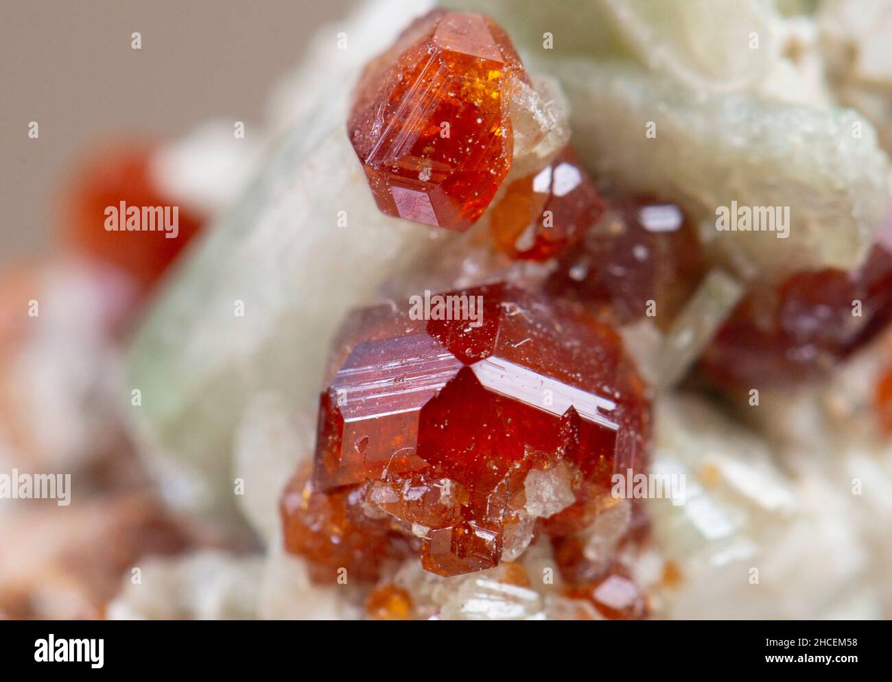 garnet mineral specimen stone rock geology gem crystal Stock Photo - Alamy
