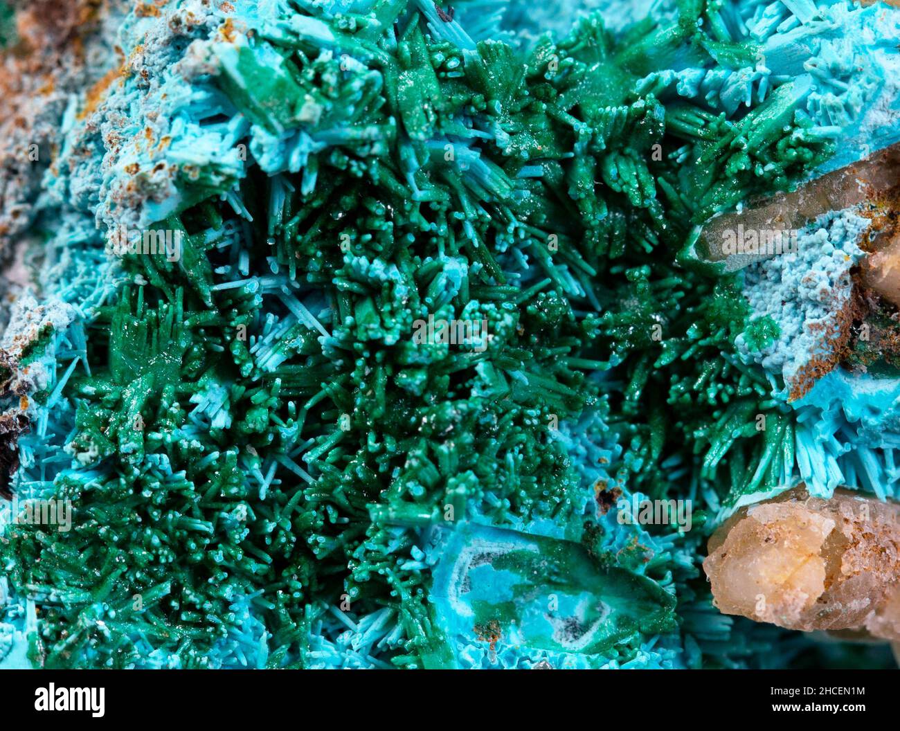 Chrysocolla, mineral specimen stone rock geology gem crystal Stock ...