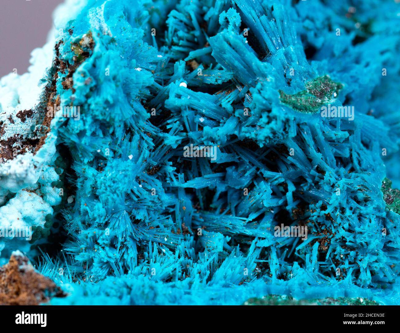 Chrysocolla, mineral specimen stone rock geology gem crystal Stock ...