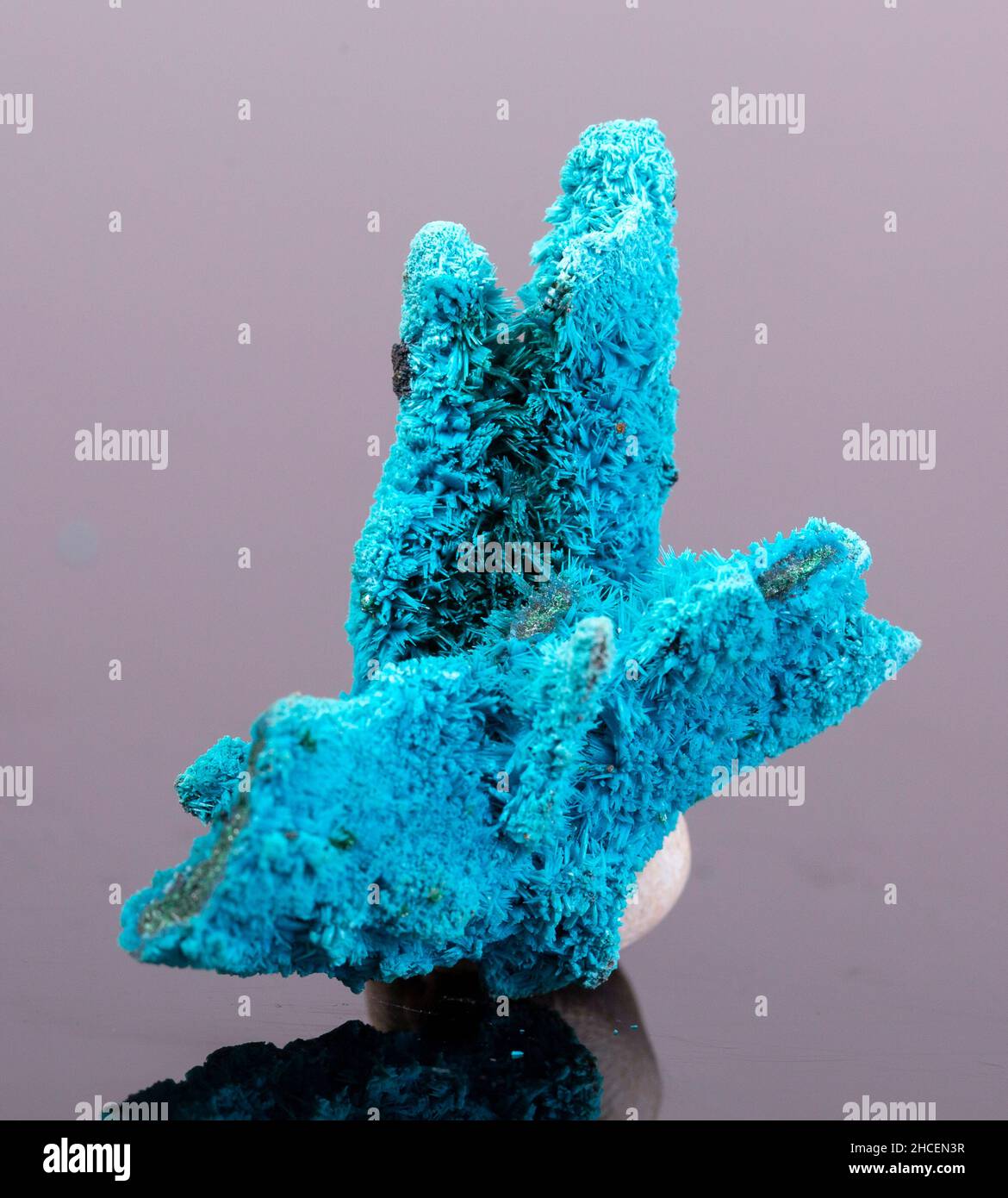 Chrysocolla, mineral specimen stone rock geology gem crystal Stock ...