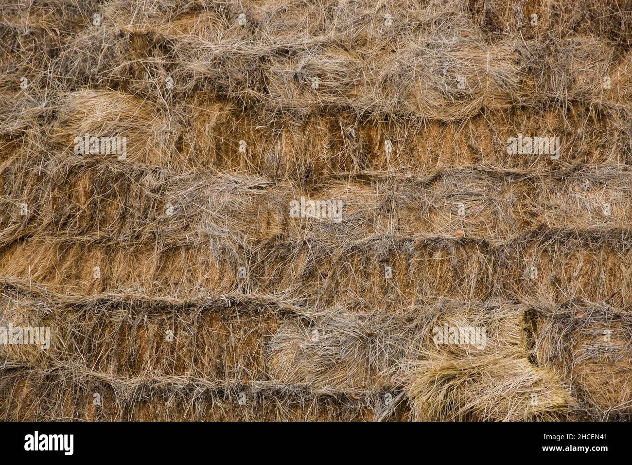 The brown hay on top view for background Stock Photo - Alamy