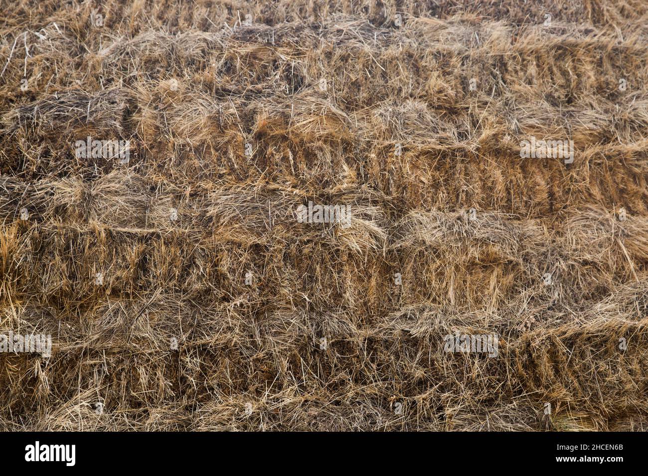 The brown hay on top view for background Stock Photo - Alamy