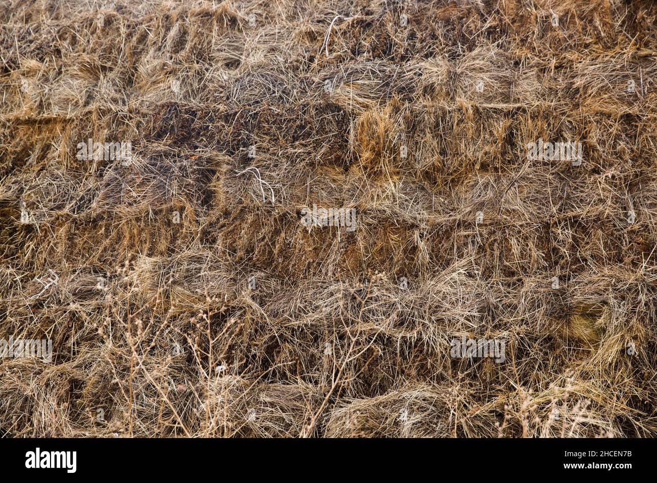 The brown hay on top view for background Stock Photo - Alamy