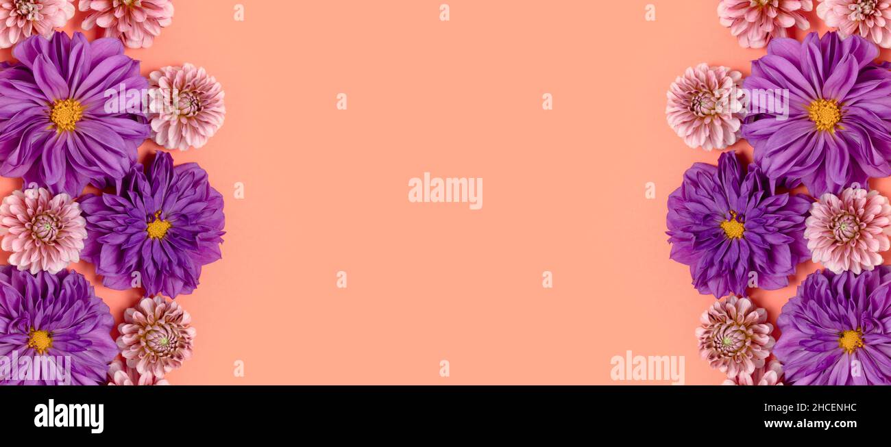 Banner with dahlia flower texture on a coral color background with ...