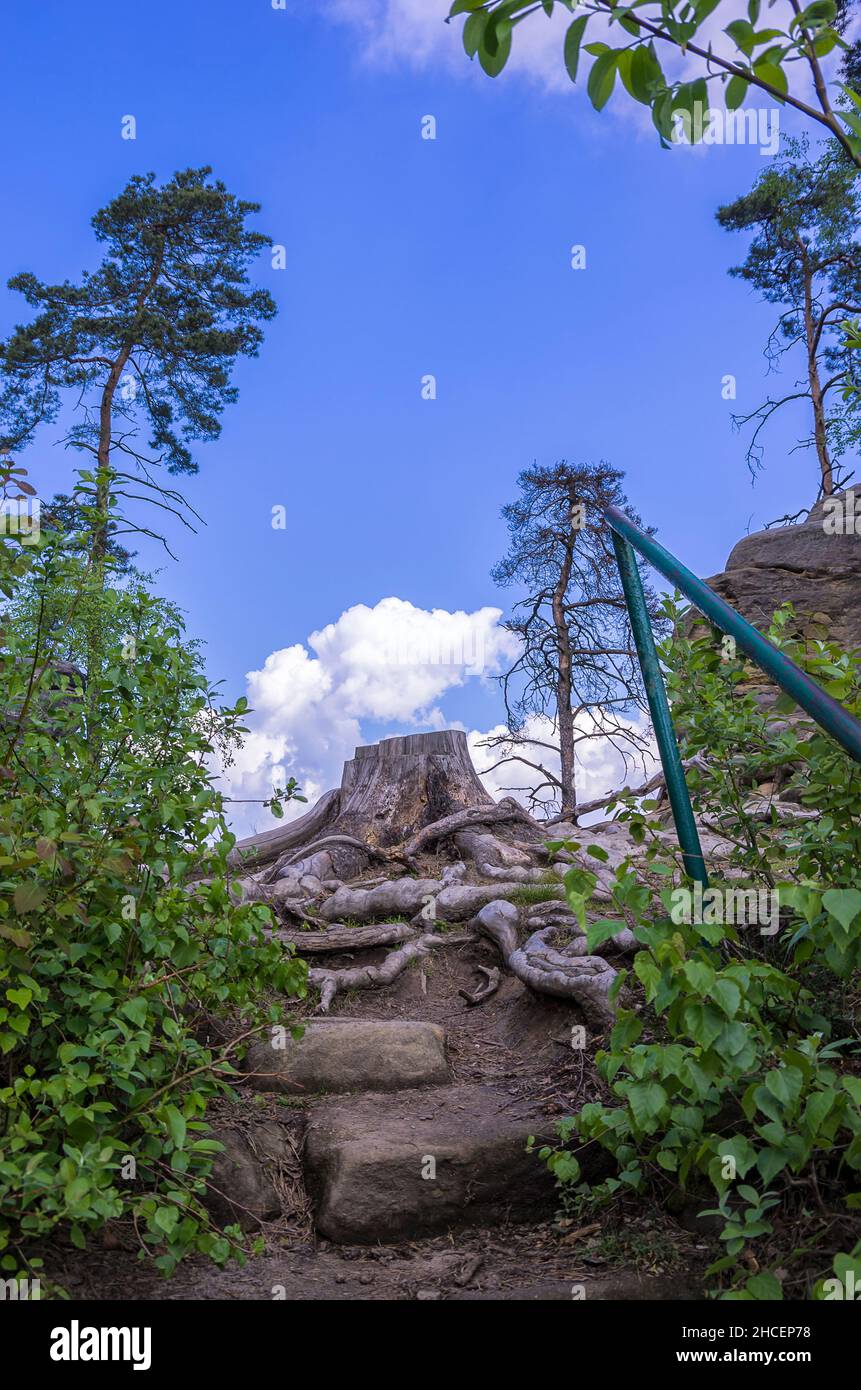 Stairs to a lookout point in the Prachov Rocks (Prachovske Skaly ...