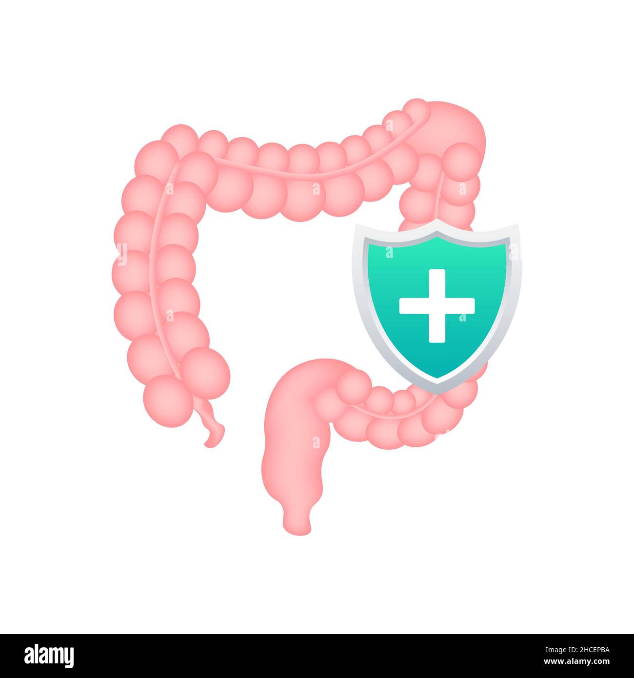 Intestines protection, Healthy protected intestine. Digestive system ...
