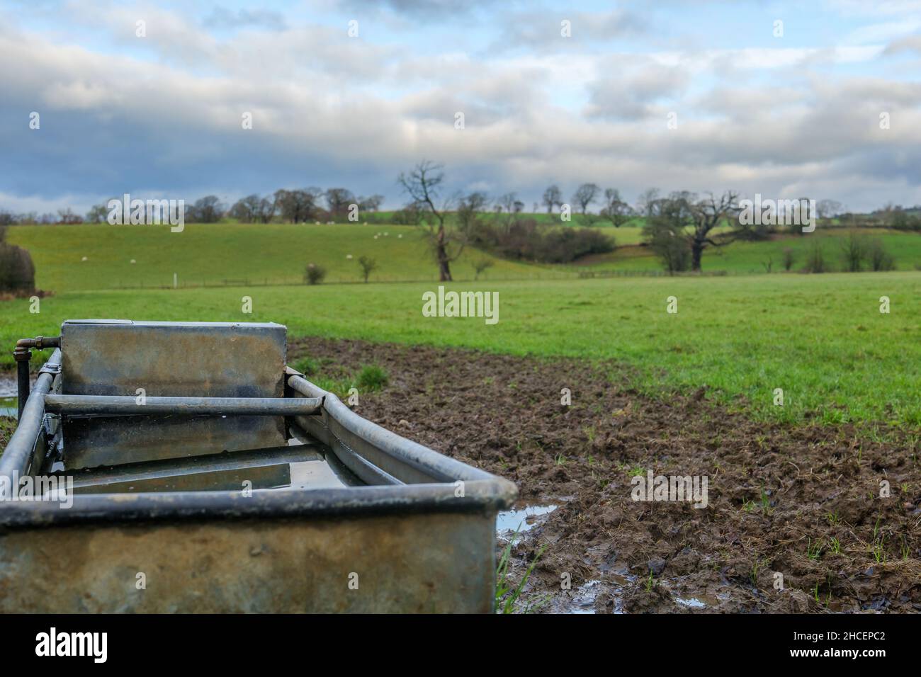 A livestock trough of water in an agricultural field in North Yorkshire ...