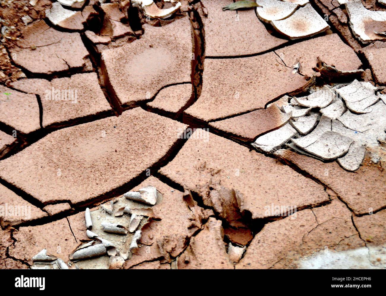 Soil cracks caused by hot weather Stock Photo - Alamy