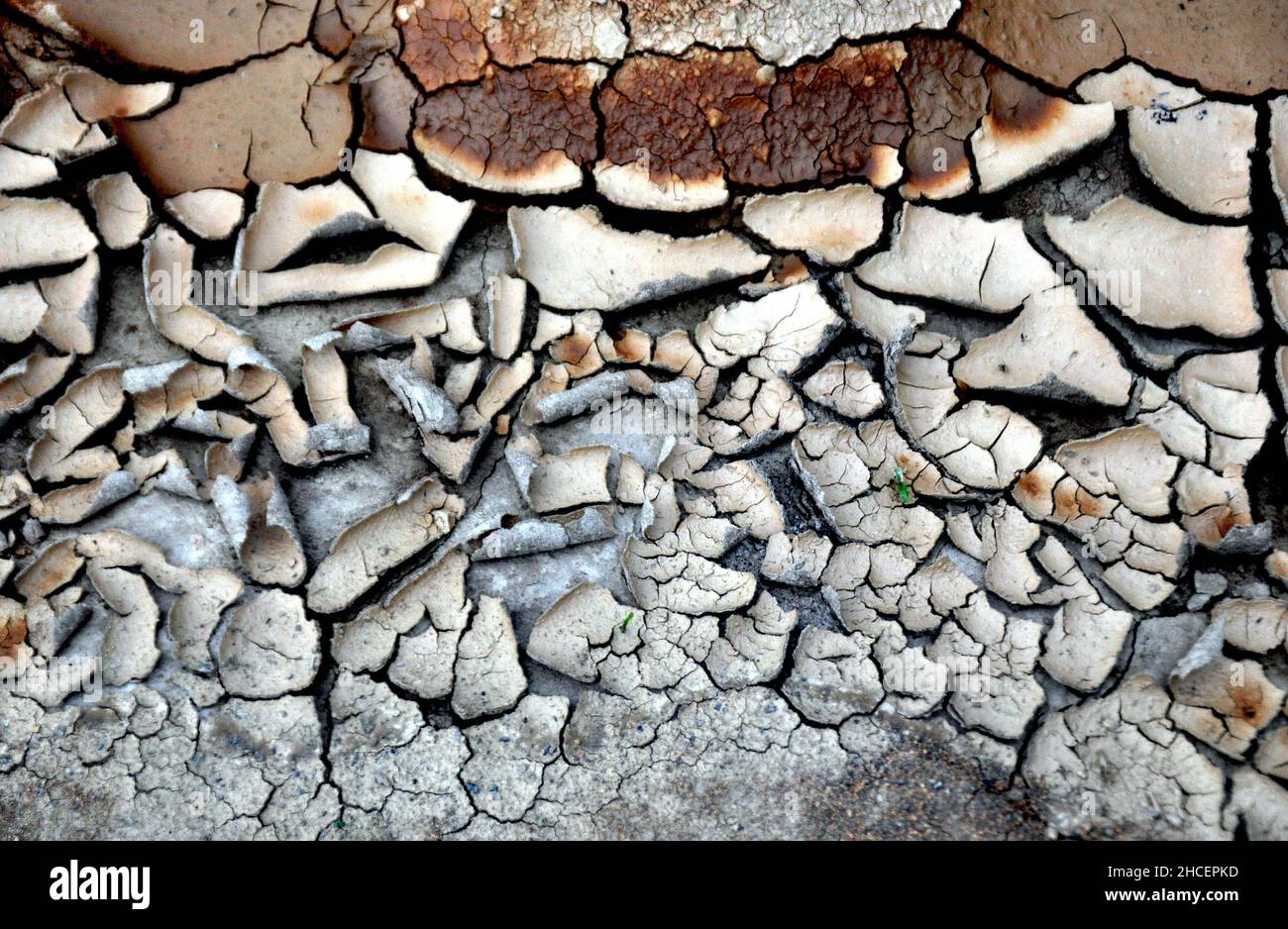 Hot weather planting hi-res stock photography and images - Alamy