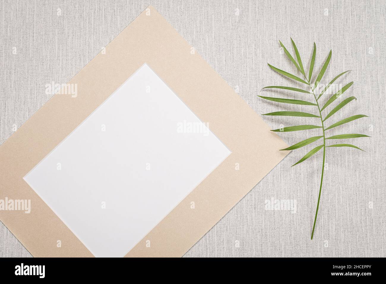 Photo frame with empty space. To write a message, invitation, wishes ...