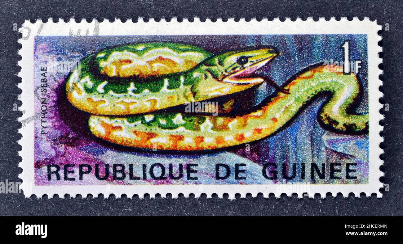 Cancelled postage stamp printed by Guinea, that shows African Rock ...