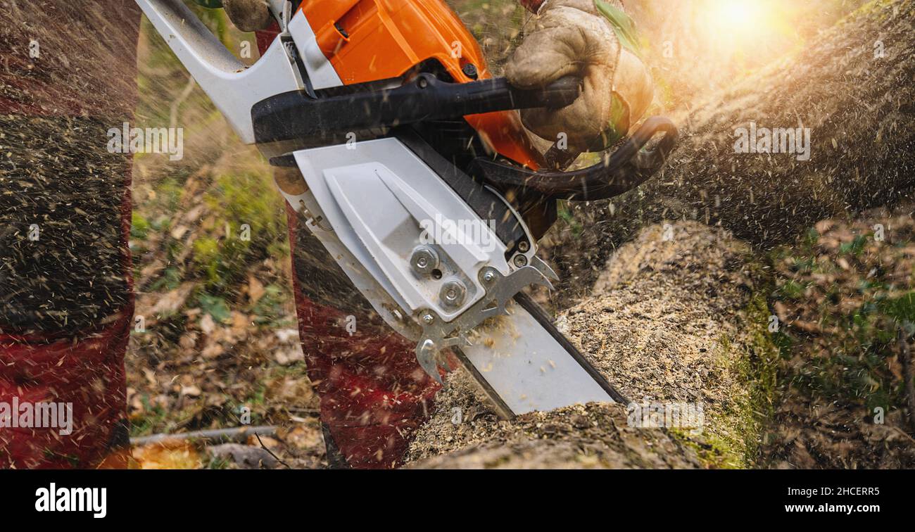 Chainsaw that stands on a heap of firewood in the yard on a beautiful ...