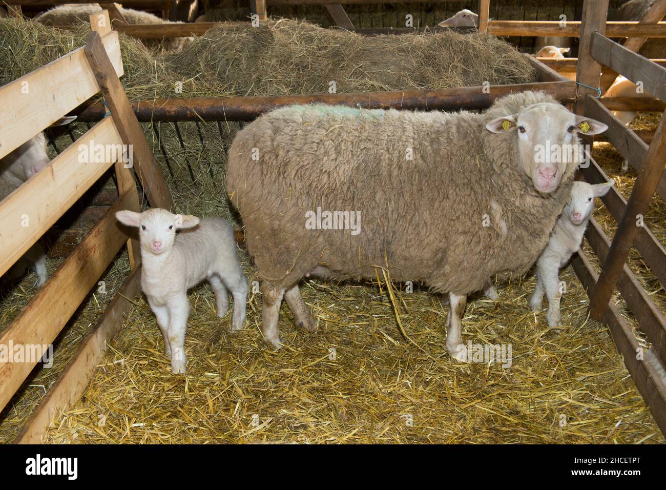 Originated leine valley hi-res stock photography and images - Alamy