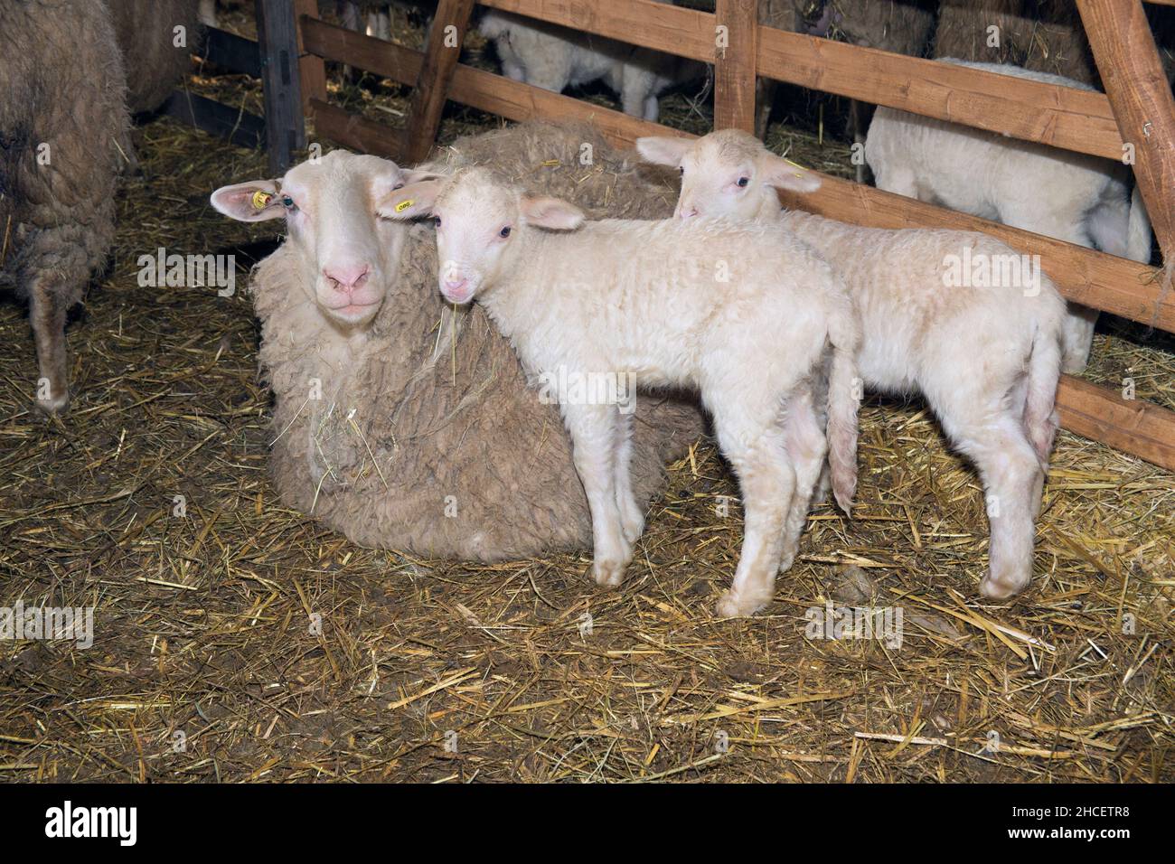 Originated leine valley hi-res stock photography and images - Alamy