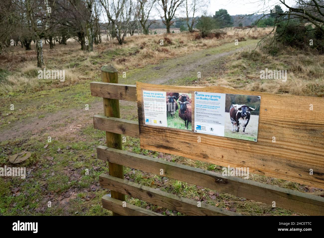 Advisory sign, sheep and cattle are grazing Stock Photo - Alamy
