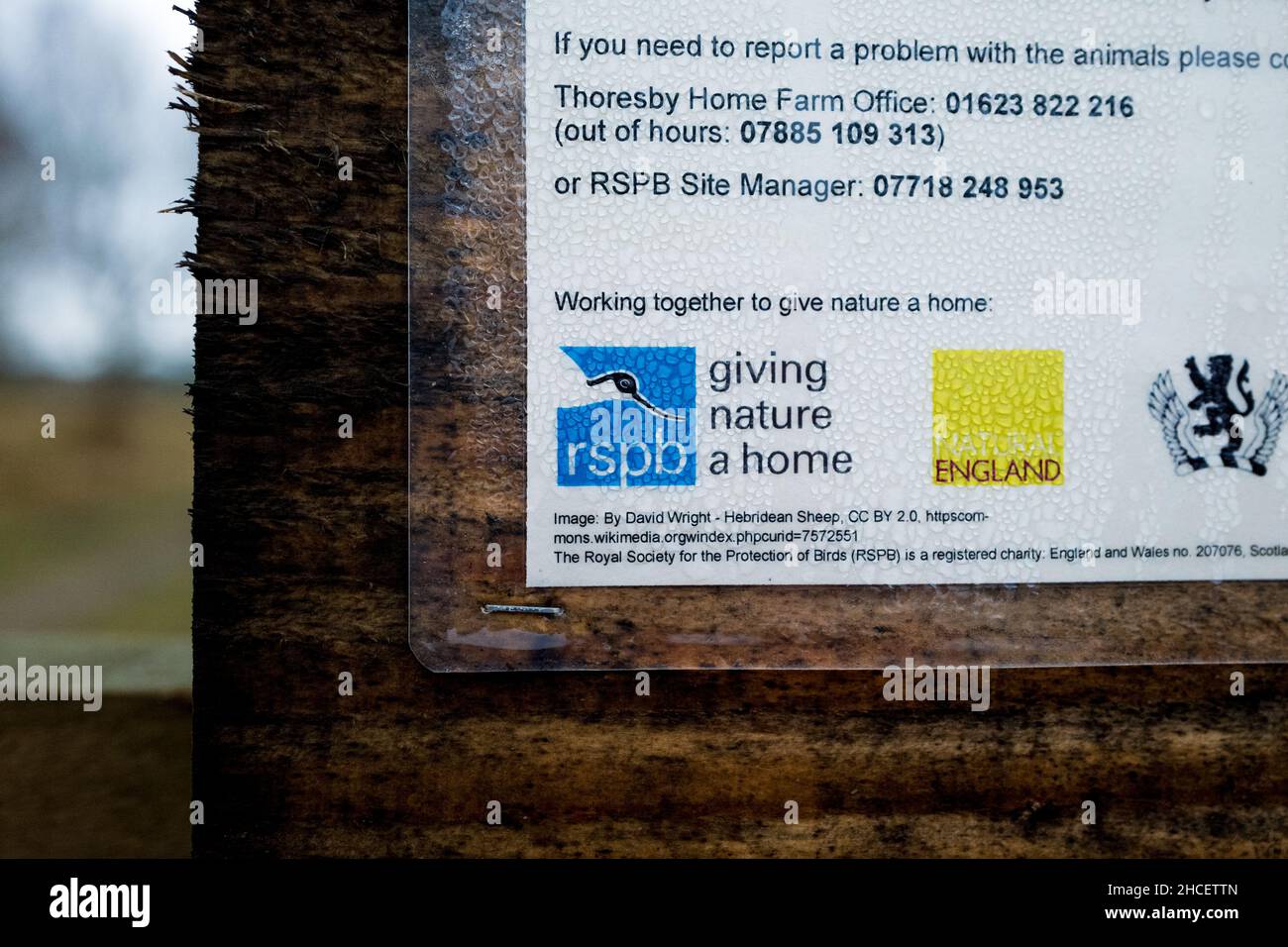 Advisory sign, sheep and cattle are grazing Stock Photo - Alamy