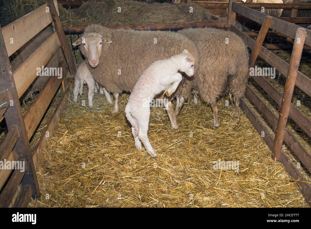 Originated leine valley hi-res stock photography and images - Alamy