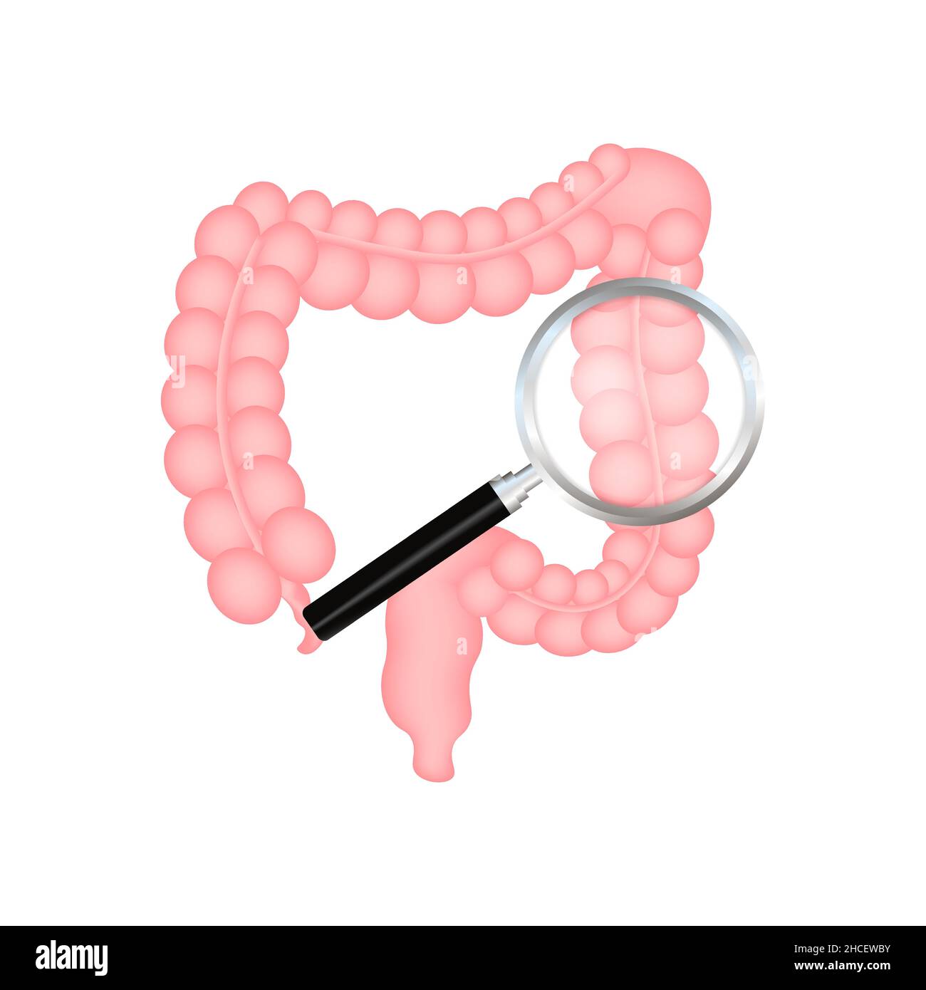 Intestines shield Stock Vector Images - Alamy