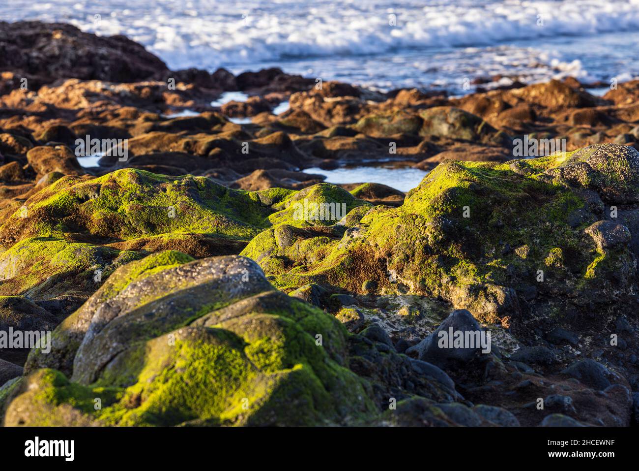 Shoreline texture hi-res stock photography and images - Alamy