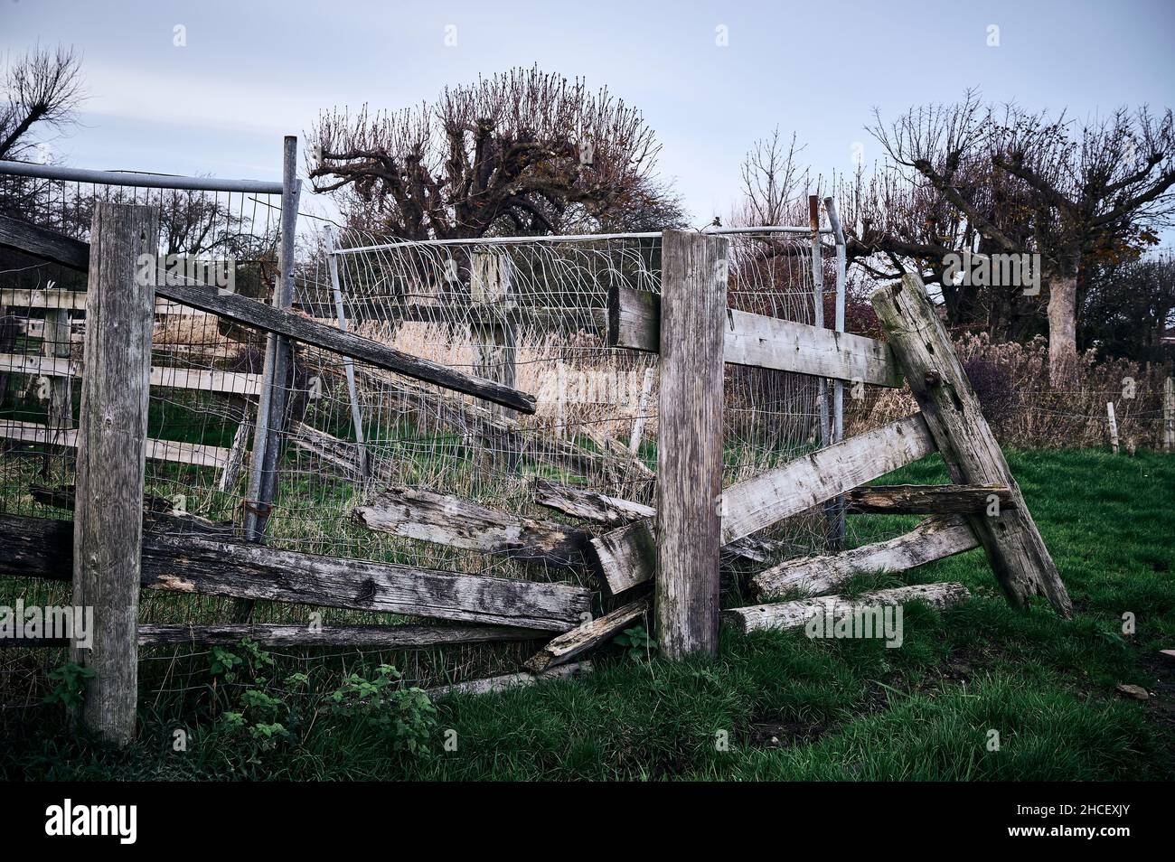 Abandoned farm animal pen Stock Photo - Alamy