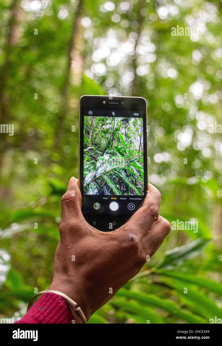 Shot of a photo on a photo in Mandraka Park, Madagascar Stock Photo - Alamy