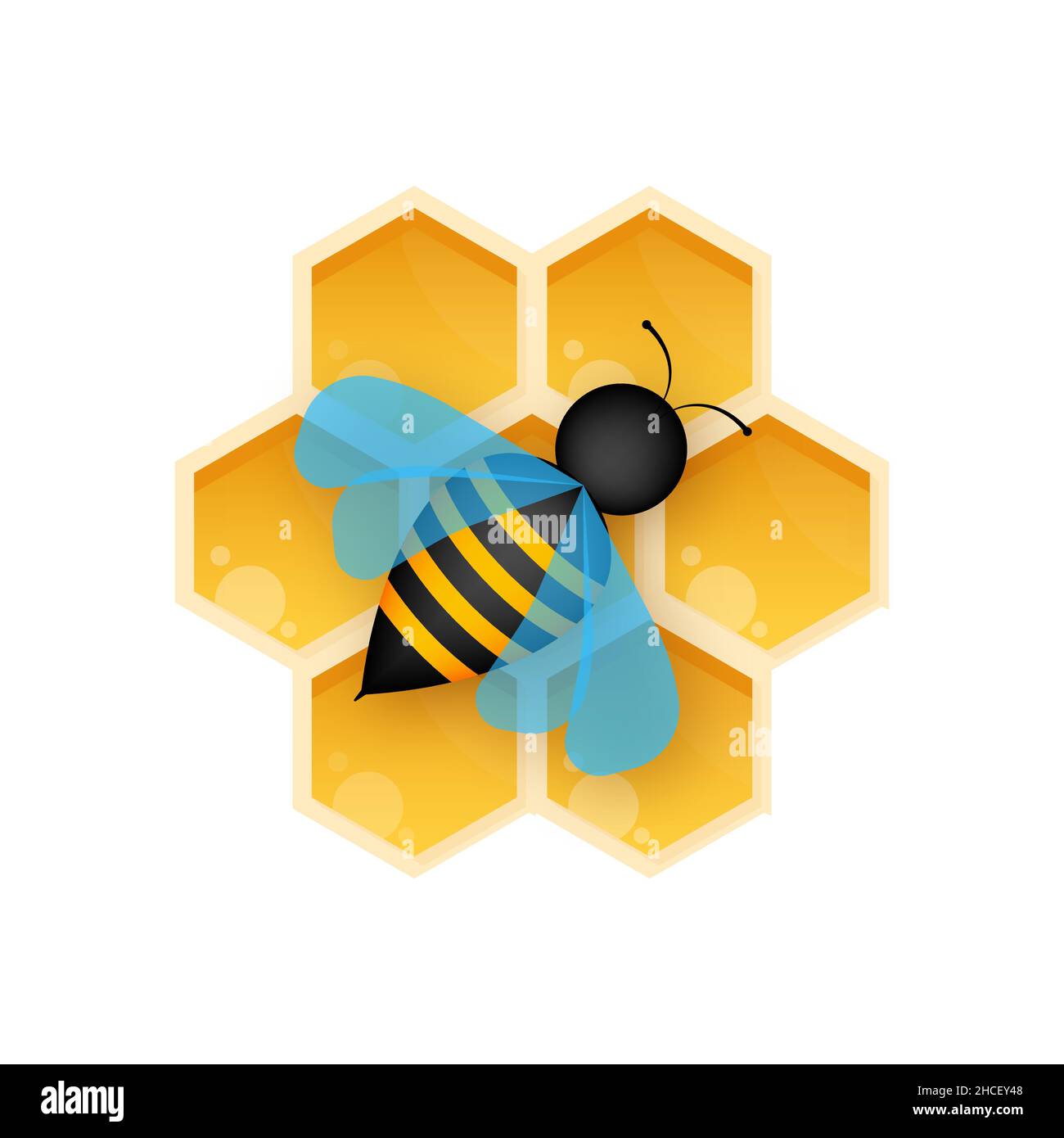 Hexagon natural honey struct. Bee honeycomb. Insects and honey. Vector ...