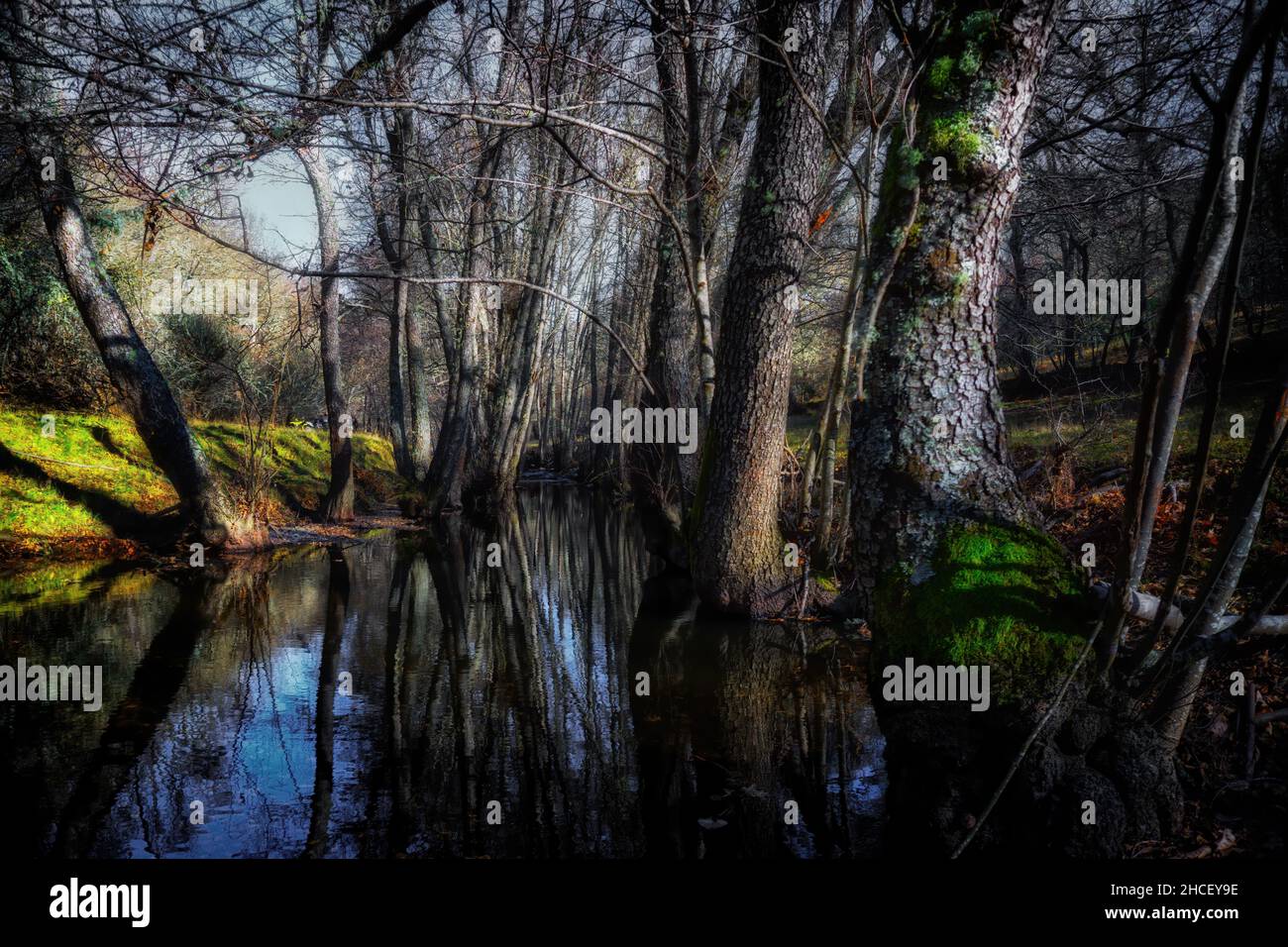 Lago leon hi-res stock photography and images - Alamy