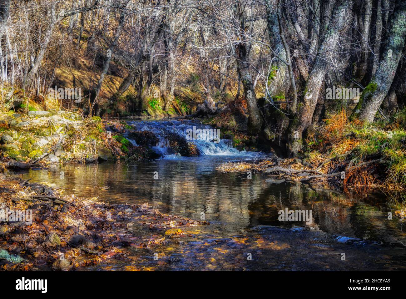 Beautiful river landscape on a winter morning in the Sanabria region ...