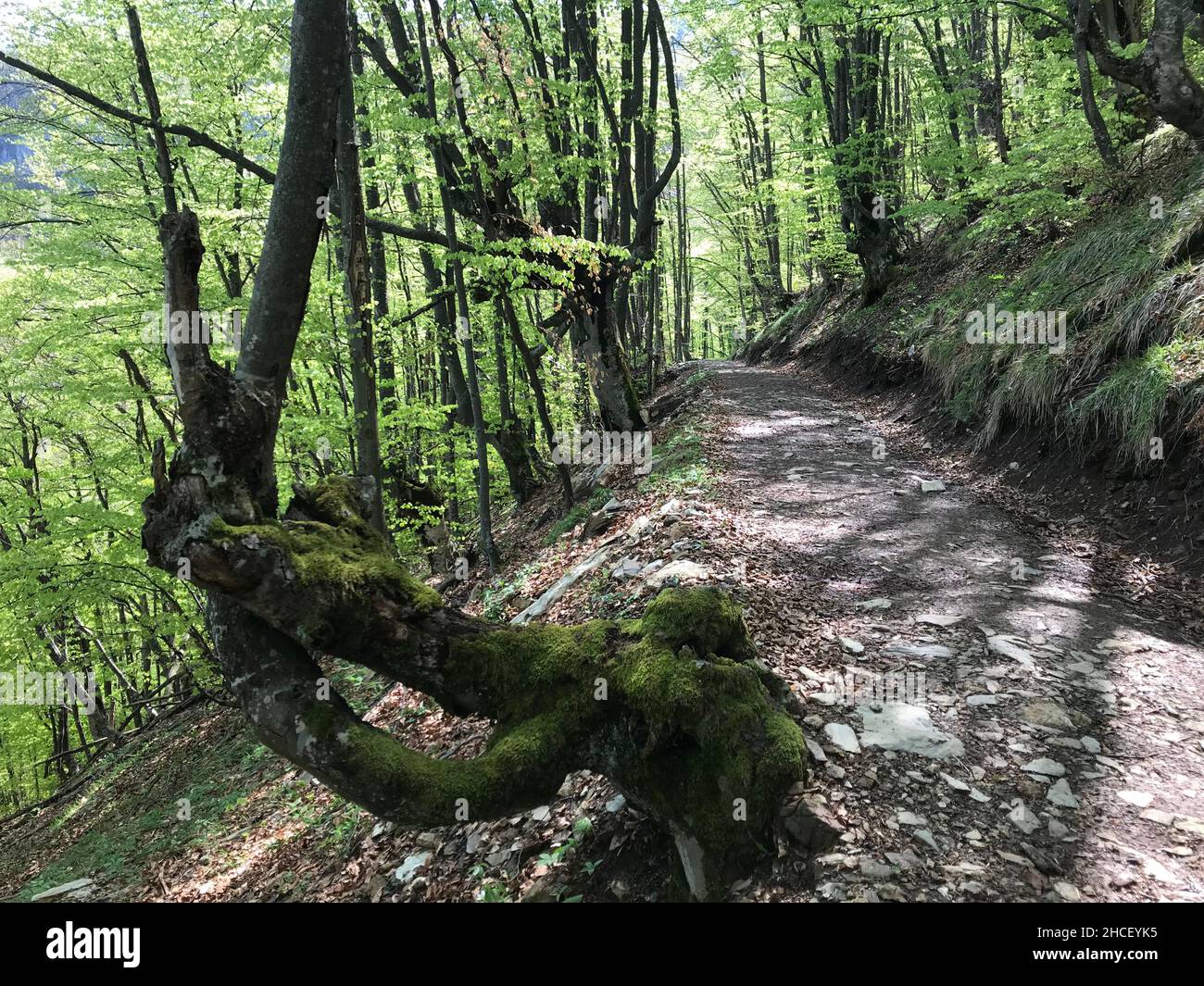 Walking on Bukovik, Sarajevo, Bosnia Stock Photo - Alamy
